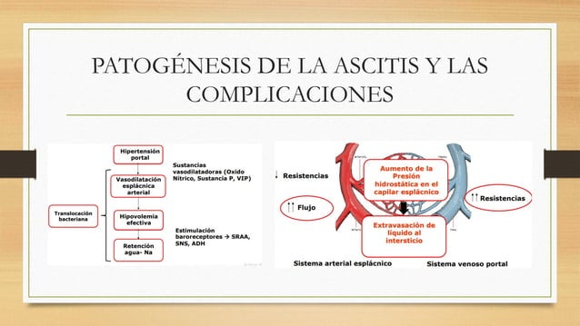 ascitis y PBE complicaciones de la cirrosis hepática | PPT