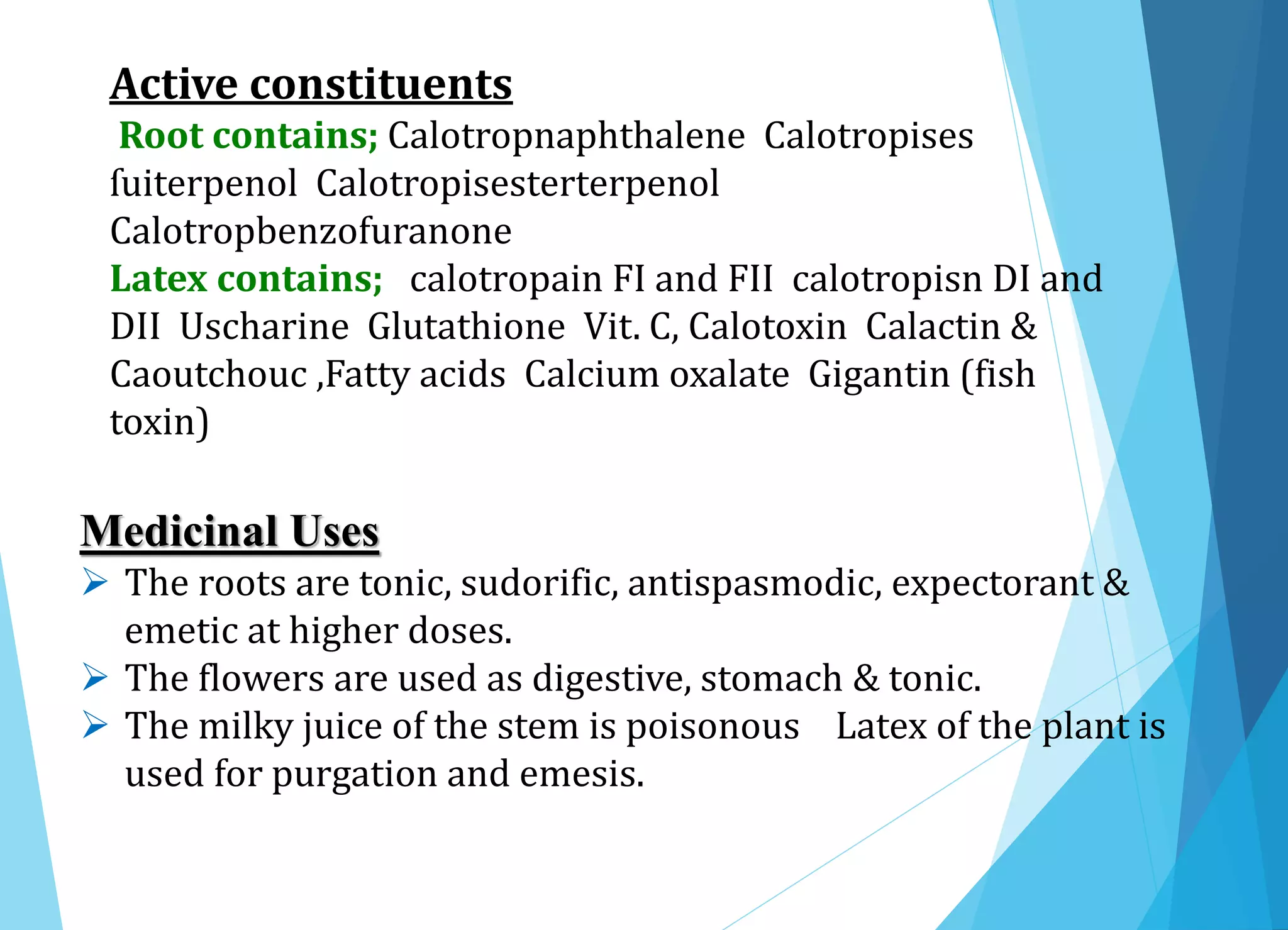 Asclepiadaceae | PPTX