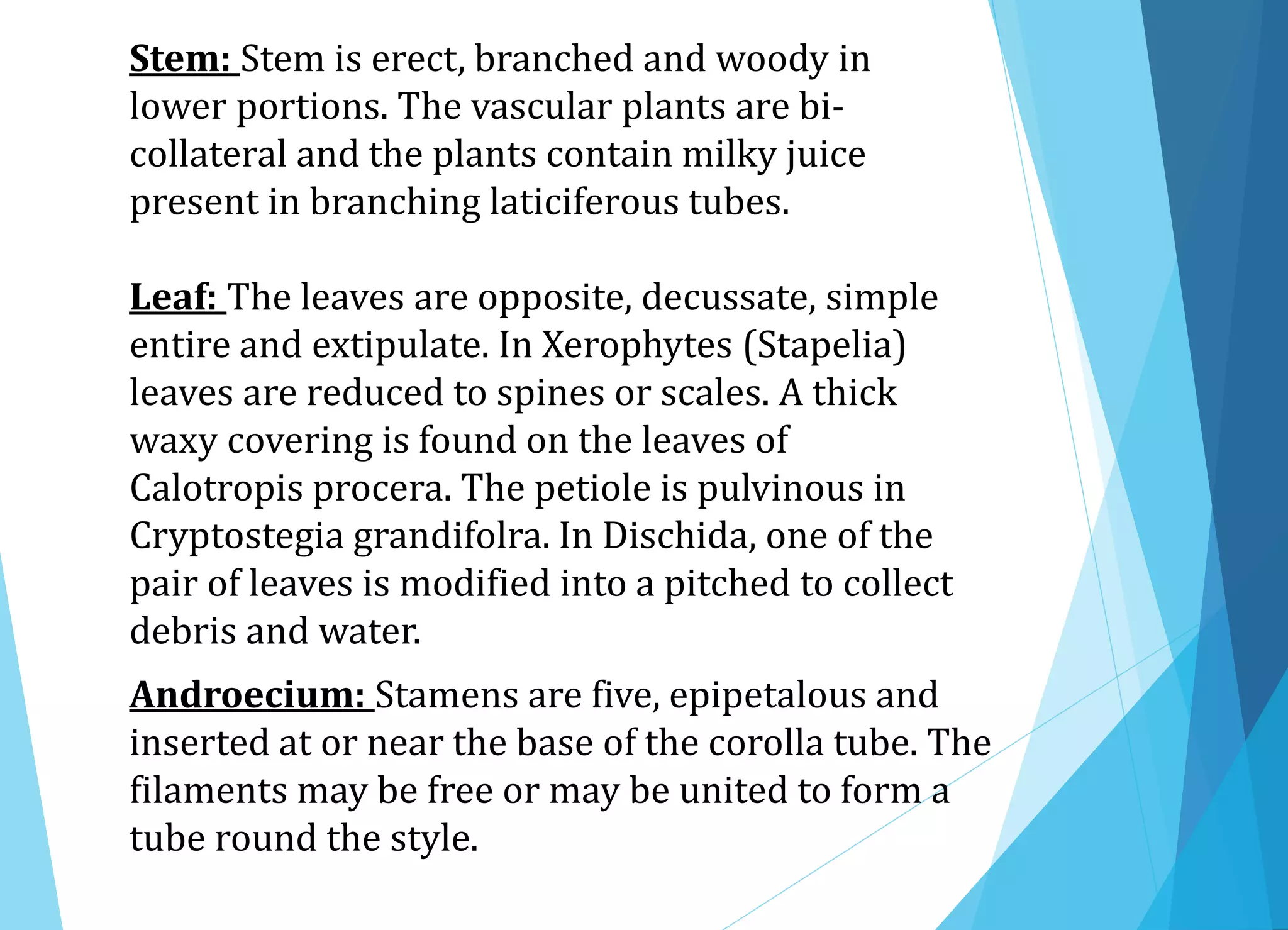 Asclepiadaceae | PPTX