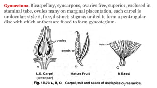 Asclepiadaceae family | PPTX
