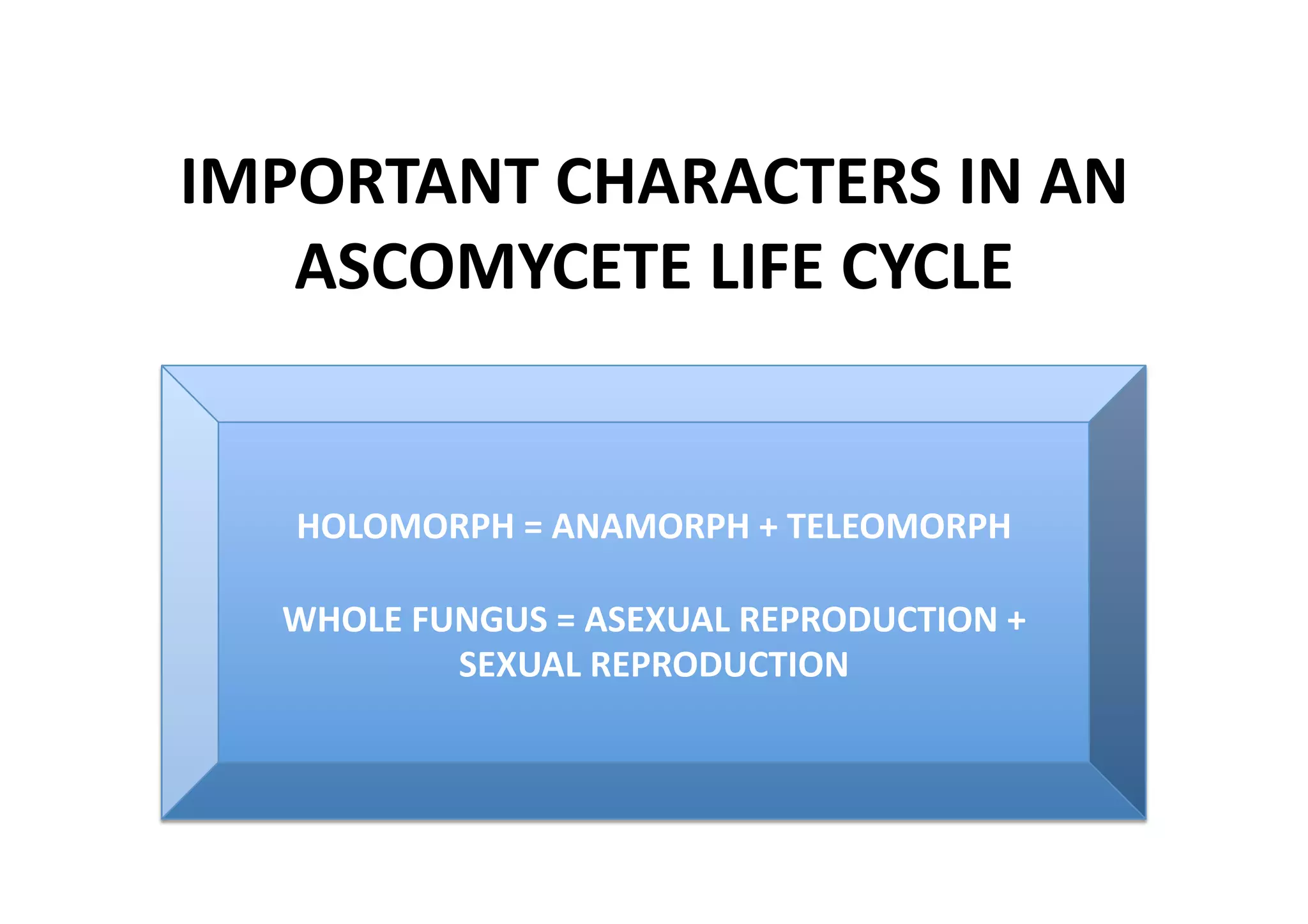 Ascomycota | PDF