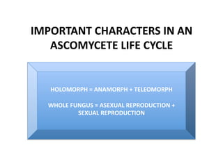 Ascomycota | PDF | Infertility | Reproductive Health