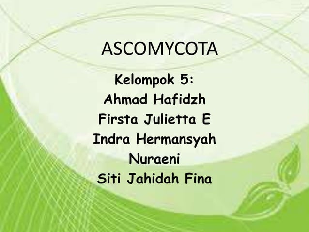 Ascomycota | PPTX