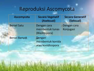 Ascomycota | PPTX