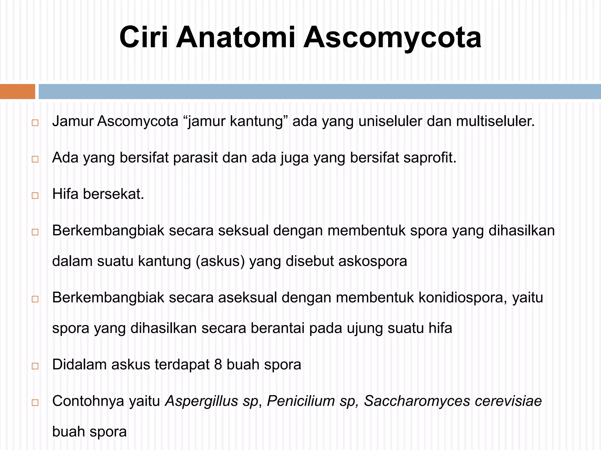 Ascomycota | PPTX