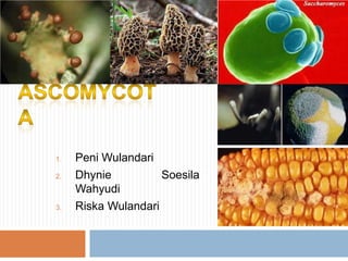 Klasifikasi jamur Ascomycota | PPTX