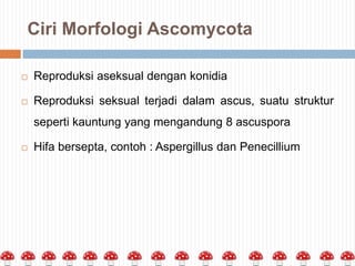 Klasifikasi jamur Ascomycota | PPTX