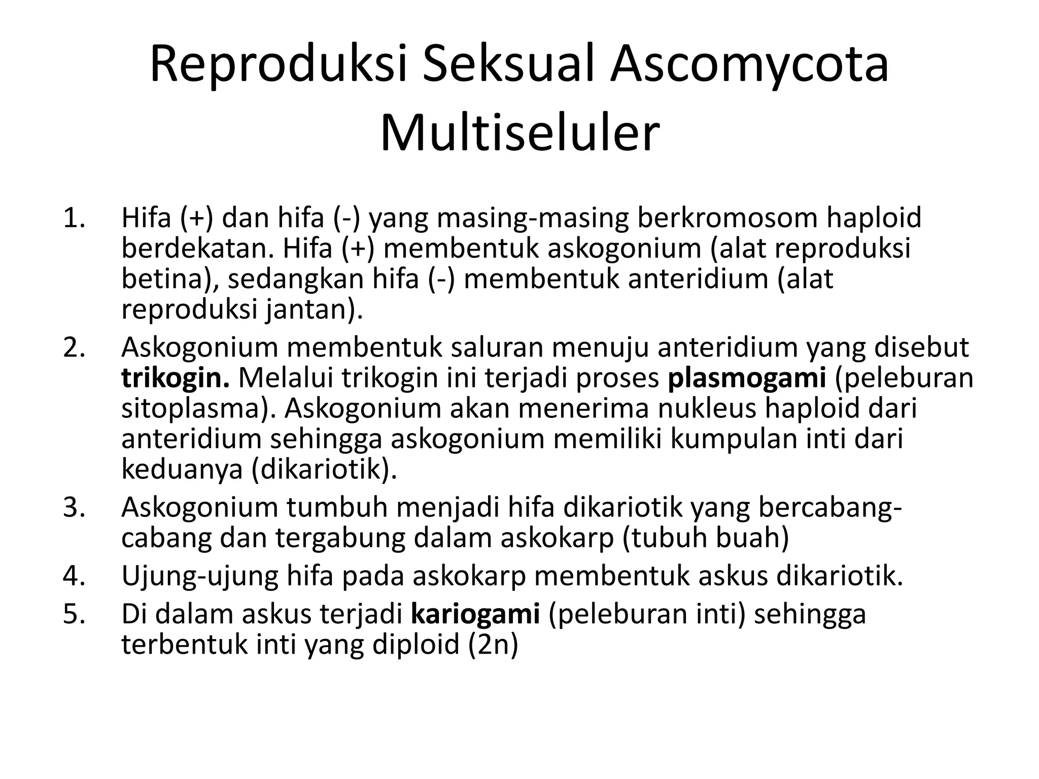 Jamur Ascomycota | PPTX