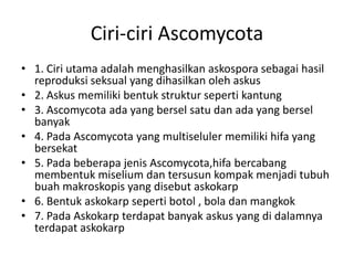 Jamur Ascomycota | PPTX