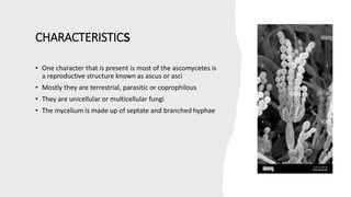 ASCOMYCOTA.pptx microbiology..,,,,,,,,,,,,,,, | PPTX