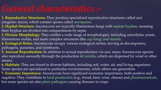 ASCOMYCOTA.pptx 2nd semester botany honours | PPTX