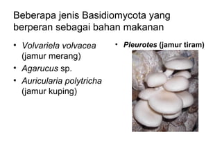 BIOLOGI X SMA - Ascomycota dan basidiomycota | PPT