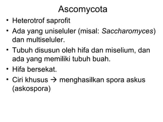 BIOLOGI X SMA - Ascomycota dan basidiomycota | PPT
