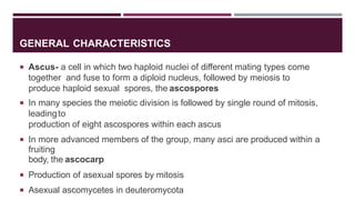 Ascomycota salient features | PPTX