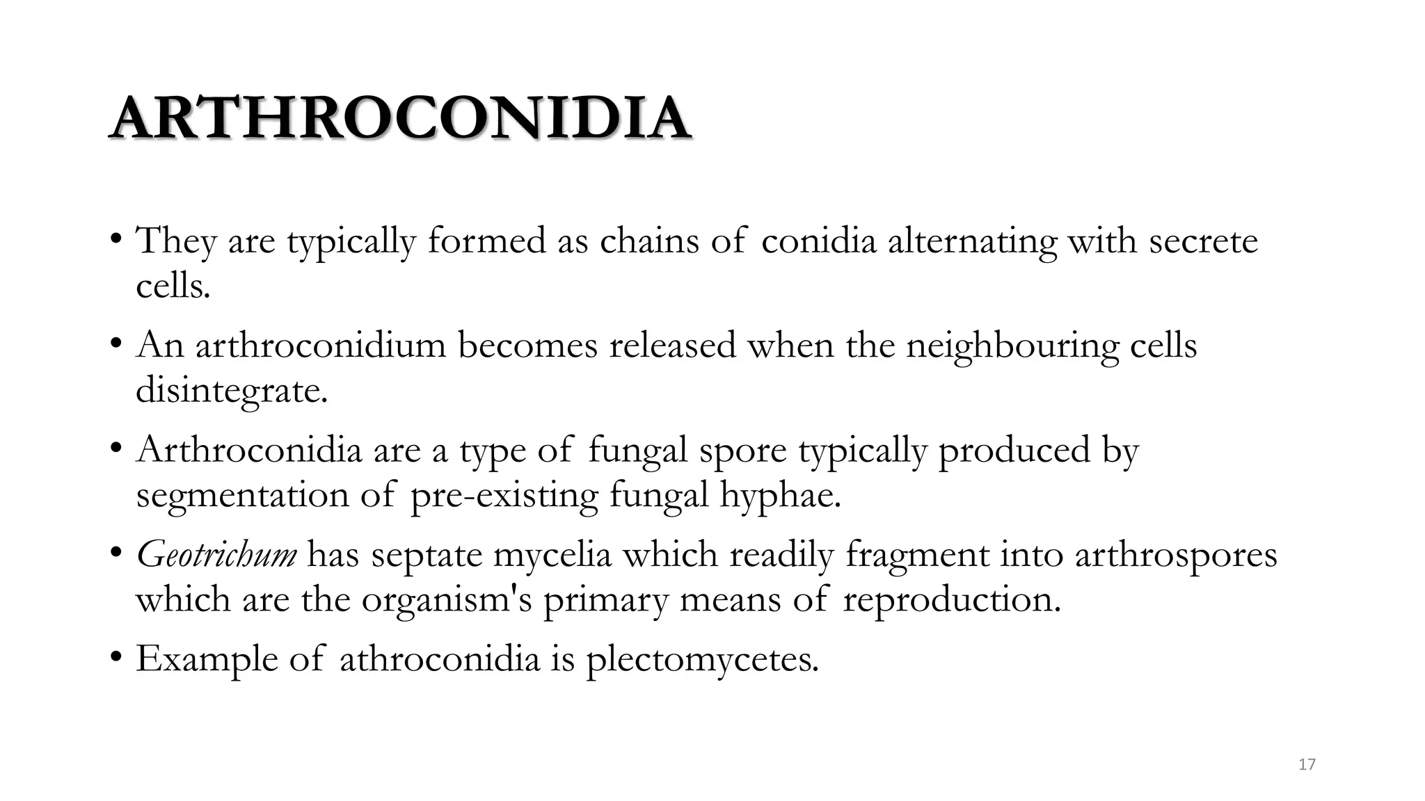 ASCOMYCOTA SLIDE.pptx fungi university of the punjab | PPTX