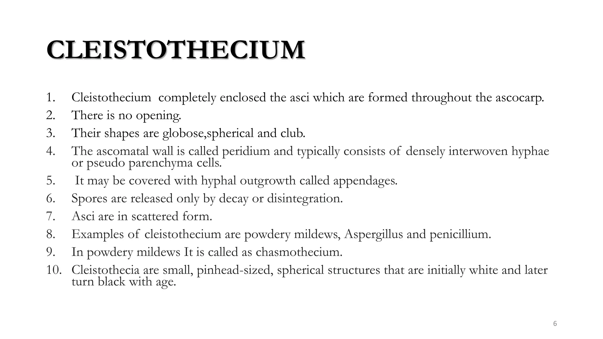 ASCOMYCOTA SLIDE.pptx fungi university of the punjab | PPTX