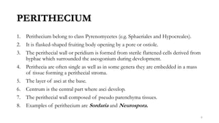ASCOMYCOTA SLIDE.pptx fungi university of the punjab | PPTX