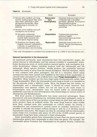 Ascomycota y basidiomycota | PDF