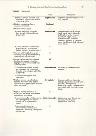 Ascomycota y basidiomycota | PDF