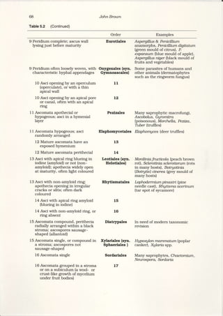 Ascomycota y basidiomycota | PDF