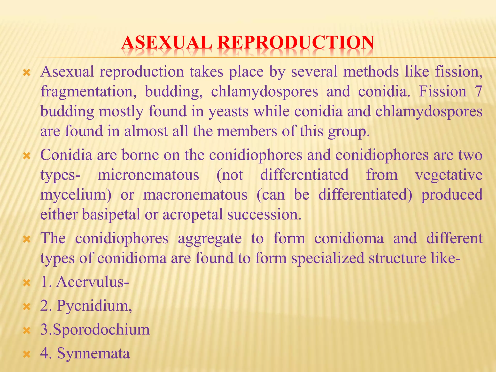 Ascomycotina - Ecology and Life Cycle | PDF