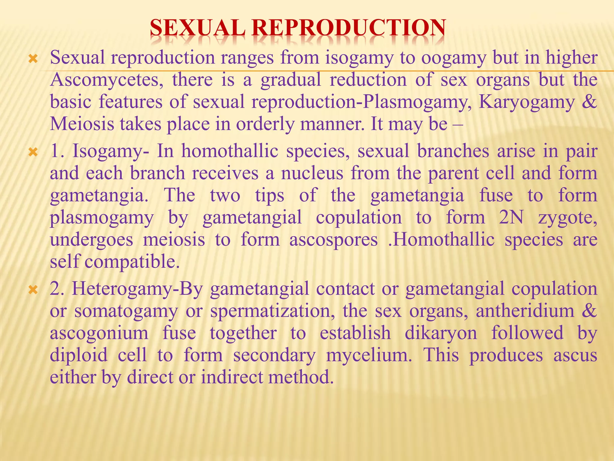 Ascomycotina - Ecology and Life Cycle | PDF