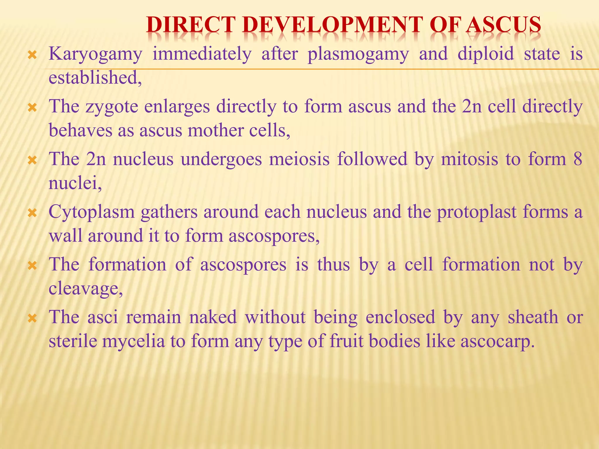 Ascomycotina - Ecology and Life Cycle | PDF