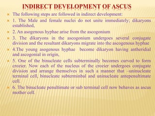 Ascomycotina - Ecology and Life Cycle | PDF