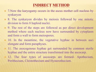 Ascomycotina - Ecology and Life Cycle | PDF