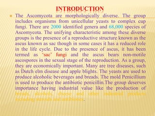 Ascomycotina - Ecology and Life Cycle | PDF