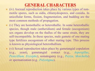 Ascomycotina - Ecology and Life Cycle | PDF