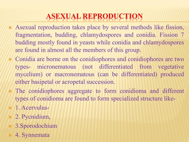 Ascomycotina - Ecology and Life Cycle | PDF