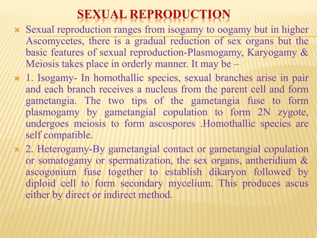 Ascomycotina - Ecology and Life Cycle | PDF