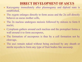 Ascomycotina converted | PPT