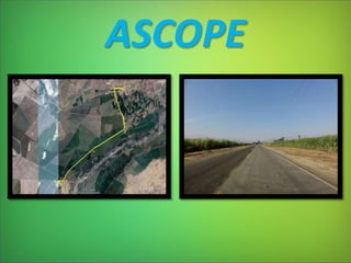 Ascope | PPTX