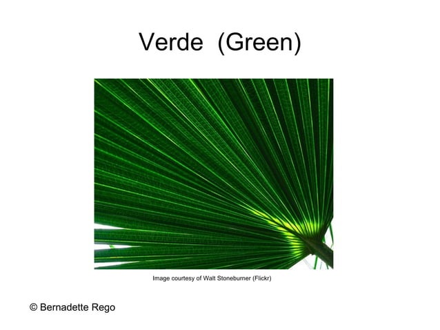 As cores (colors) | PPT