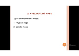 asd.ppt | Genetics | Science