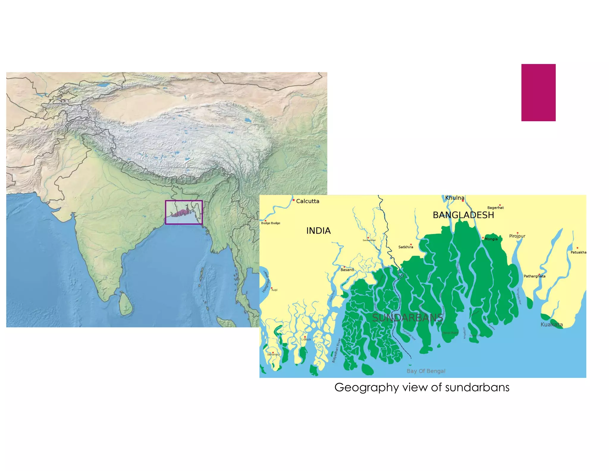 Ganga River System | PDF
