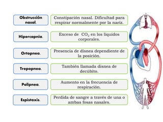 Semiología Aparato Cardiorrespiratorio y órganos de los sentidos | PPTX