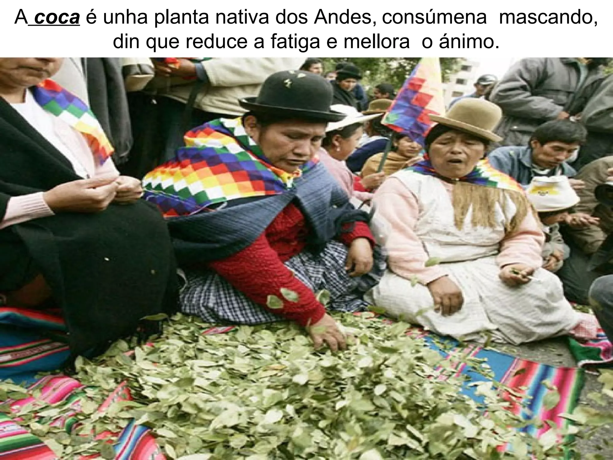 Historia das drogas | PPS