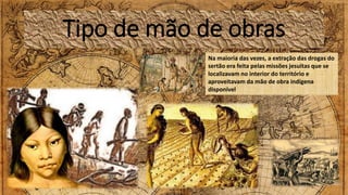 Drogas do sertão | PPTX