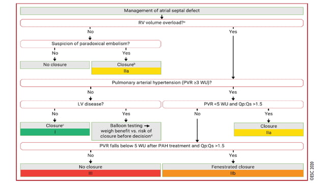 Atrial Septal Defects, Ventricular septal defects Assessment ...