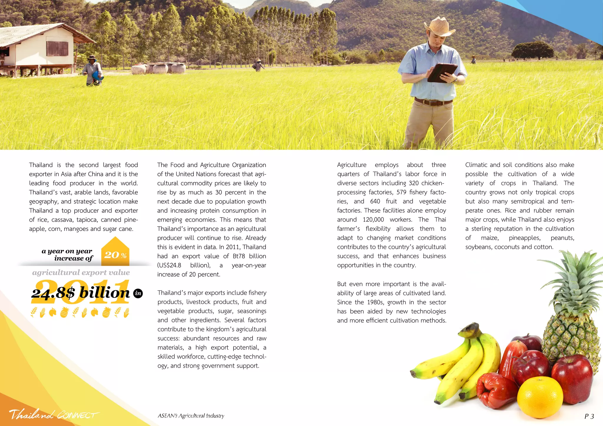 ASEAN's Agricultural Industry | PDF