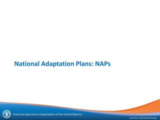Introduction to the NAP and NAMA processes and the relation to climate ...