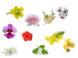 ASEAN countries and their picturesFlowers.pptx