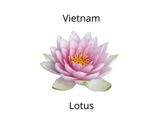 ASEAN countries and their picturesFlowers.pptx