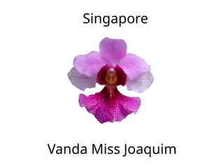 ASEAN countries and their picturesFlowers.pptx