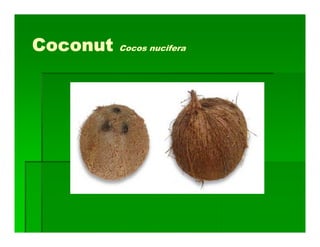 ASEAN Harmonization of Evaluation of TM and HS | PPT