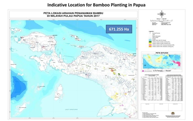 ASEAN_Muhammad Firman_Latest Bamboo Developments in Indonesia | PPT