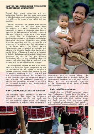 Asean's indigenous peoples | PDF
